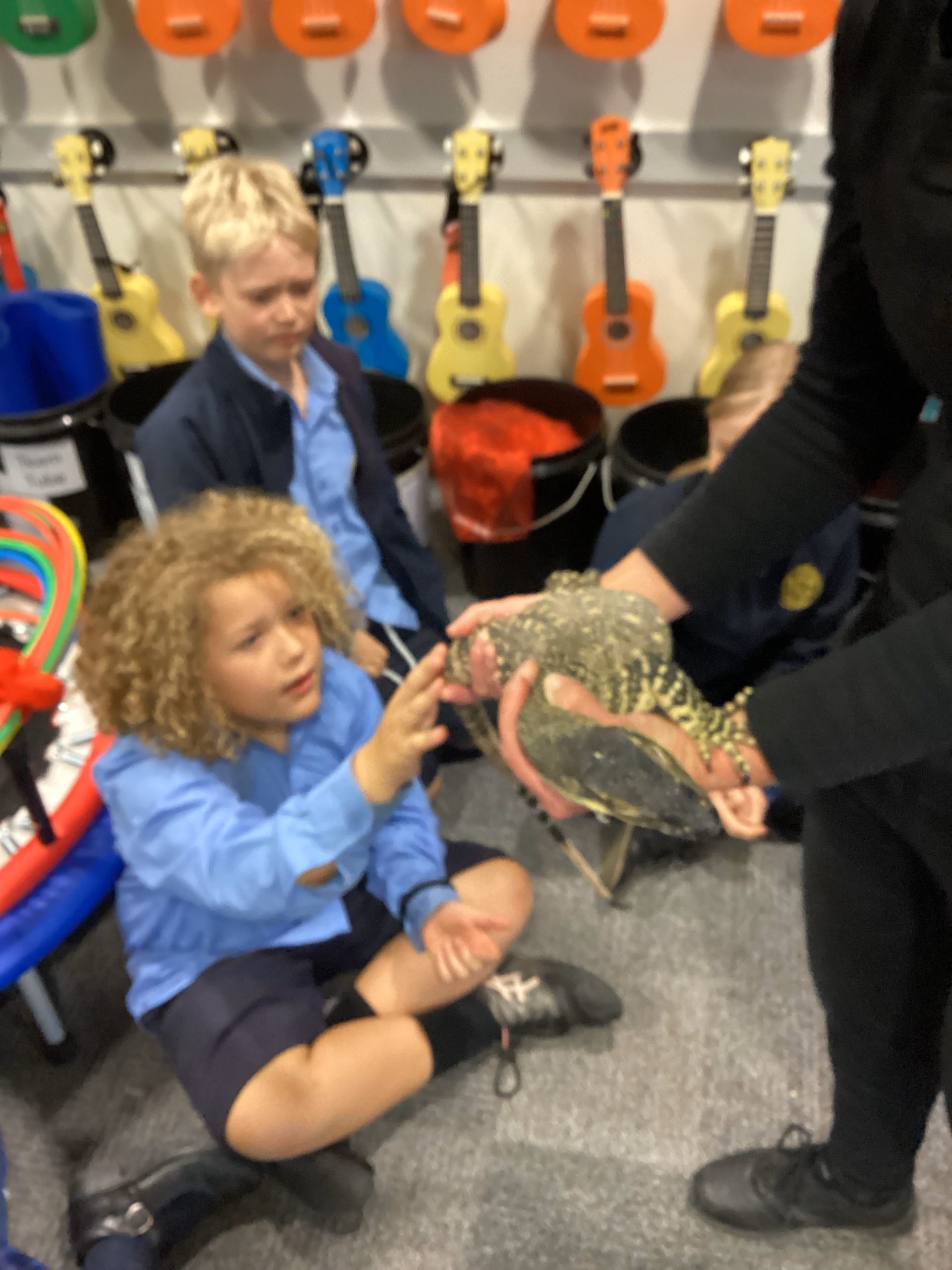 Wild Action Zoo - Grade 3/4 incursion - 1.5.24 - St Ambrose Parish ...