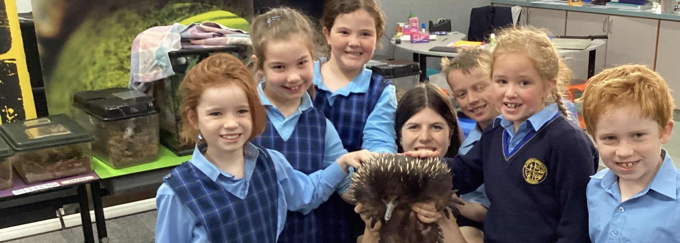 Before & After School Care - St Ambrose Parish Primary School